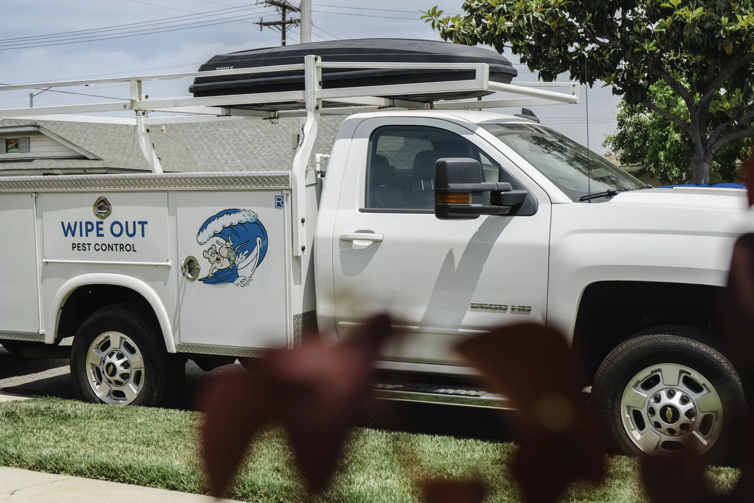 Affordable Pest Control Service in Orange County California